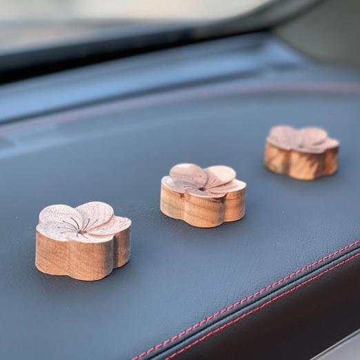 Wood Diffuser for Car – pocket CHANGE